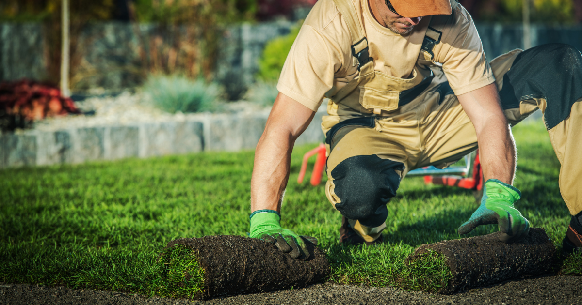 Top 10 of the Best Landscaping Company in Jakarta (Updated 2025)